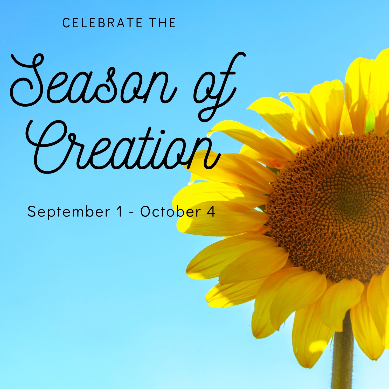 Seven Ways to Embrace the Season of Creation this Fall – Cara Fleischer